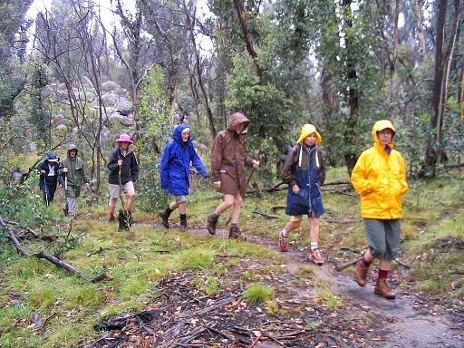 Go Holiday Blog: Best bushwalking in Oz