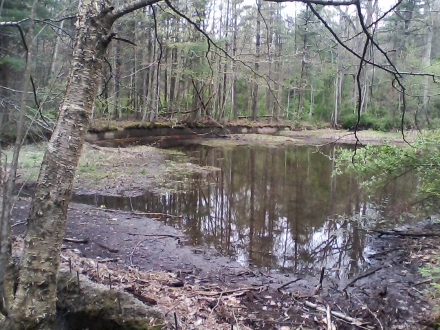 Camp Michaux: Cumberland County's secret WW2 POW camp