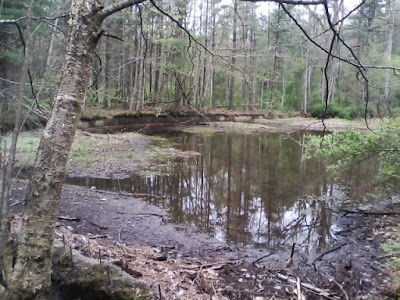 Camp Michaux: Cumberland County's secret WW2 POW camp