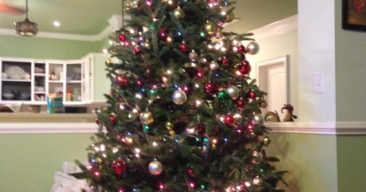 Pause Dream Enjoy: Hello... and Merry Christmas!