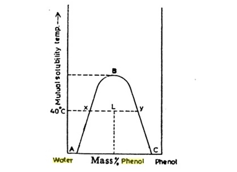 NFNF1424 - PHYSICAL PHARMACY : Practical 2 - Phase Diagrams B