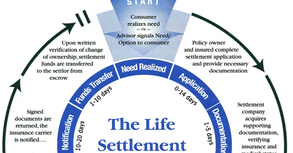 What is Life Settlement | Amazing News