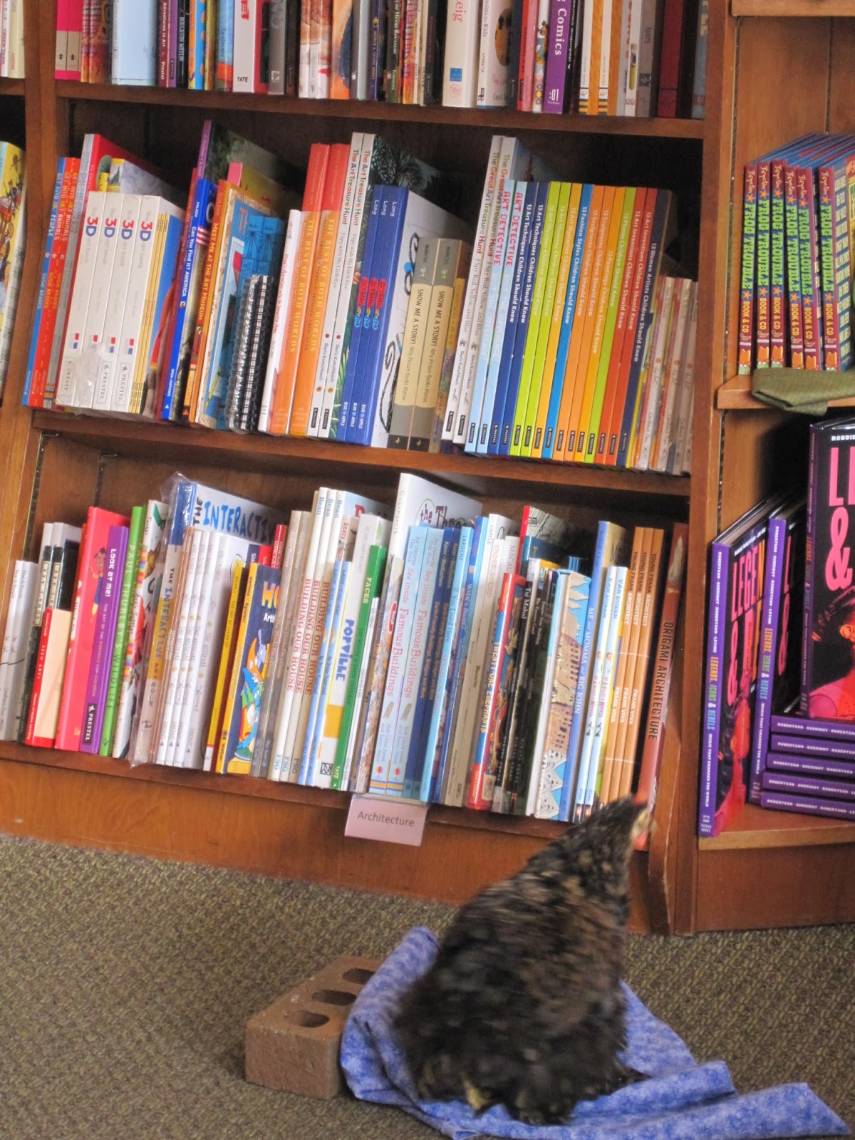 Everyday Planet: Minneapolis Places: Wild Rumpus