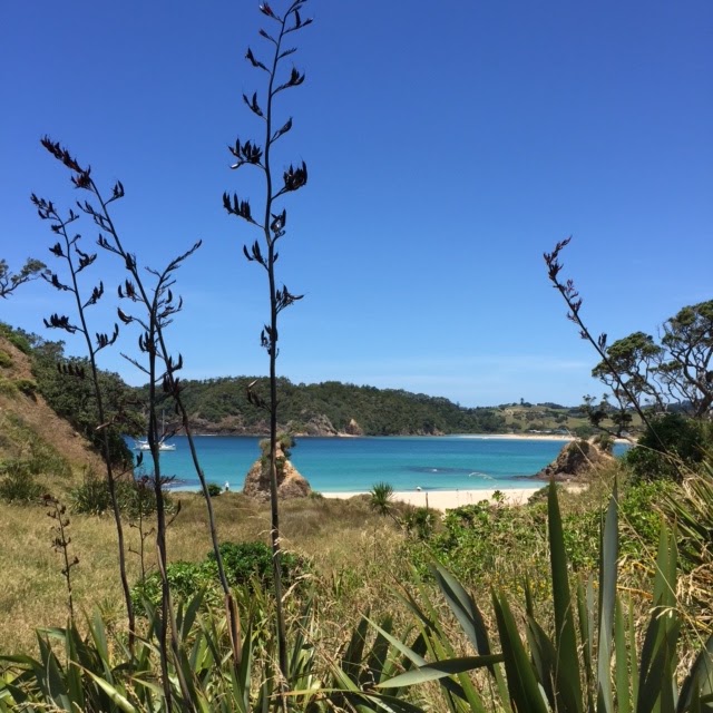 Resefamilj i Nya Zeeland: Whale Bay and Matapouri beach - a beach and a ...