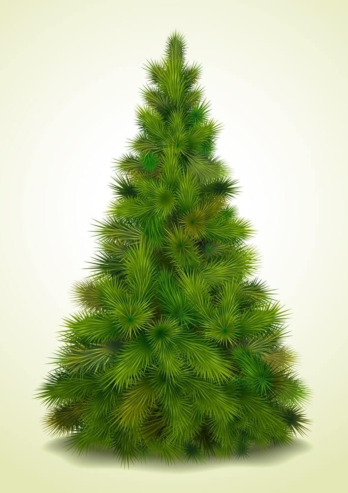 Christmas Trees Images Free Download