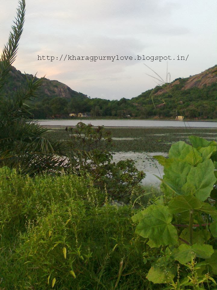 kharagpurmylove: Boronti, Muradi and Bero: Untrap natural habitat from ...