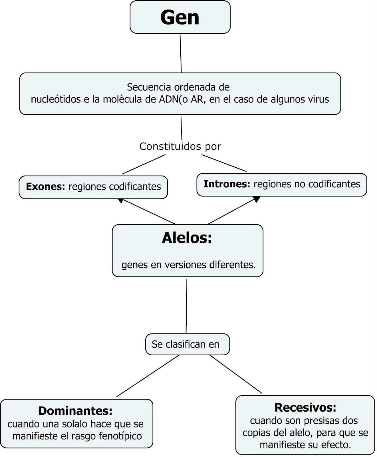 cienciaselrosario: Mapa Conceptual Gen