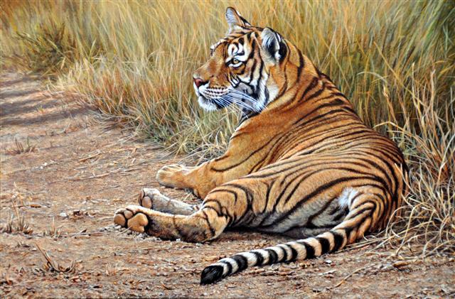 British Animal Artist Alan M Hunt: Amazing British Wildlife Artist