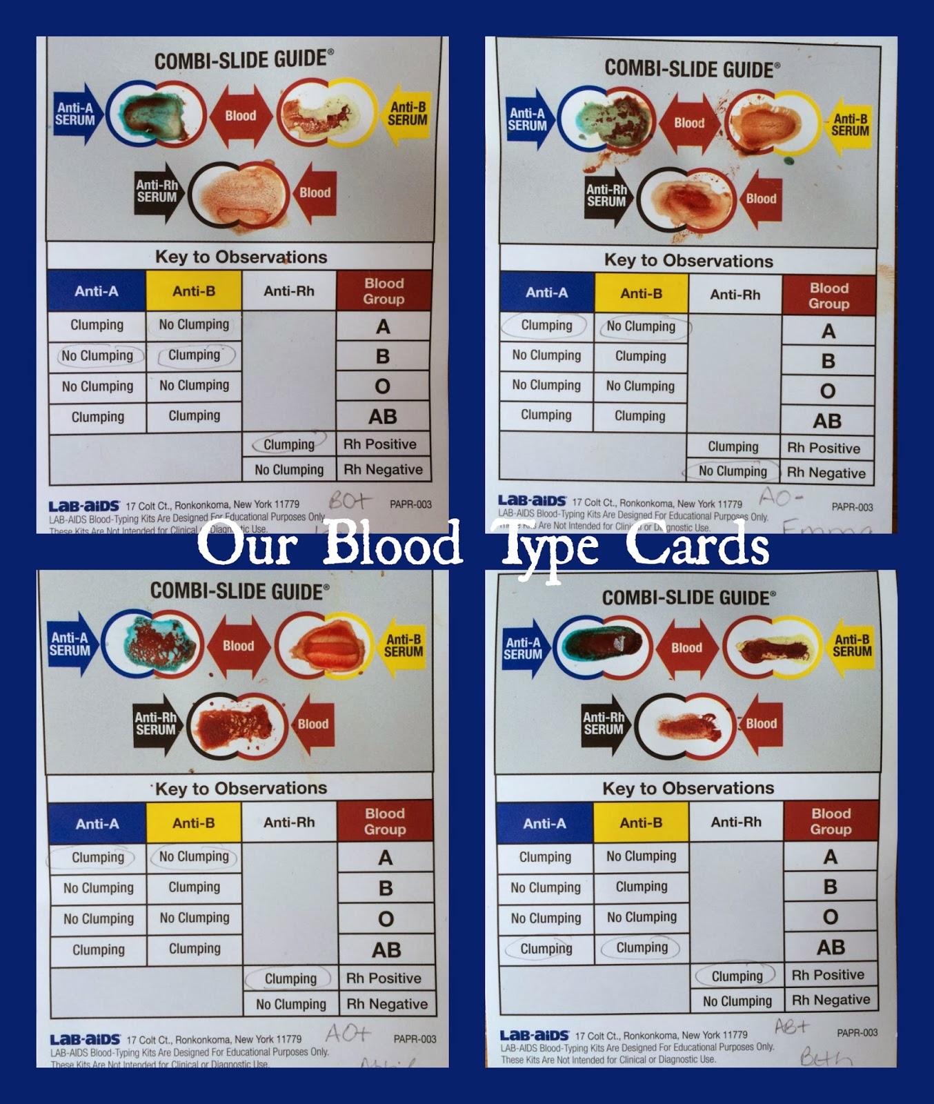 Acorn Hill Academy: What's Your Blood Type?
