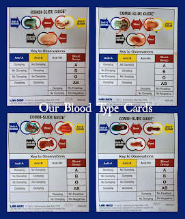 Acorn Hill Academy: What's Your Blood Type?
