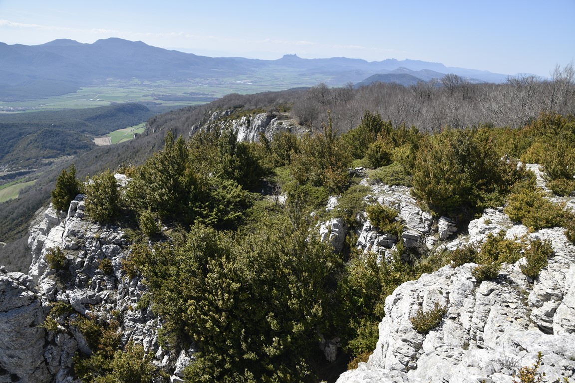 Mendiko osterak: Arnaba zirkularra Gastiain herritik