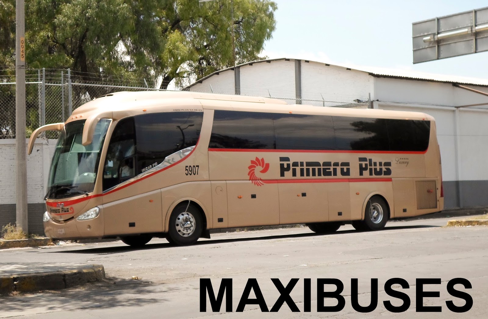 MAXIBUSES: PRIMERA PLUS