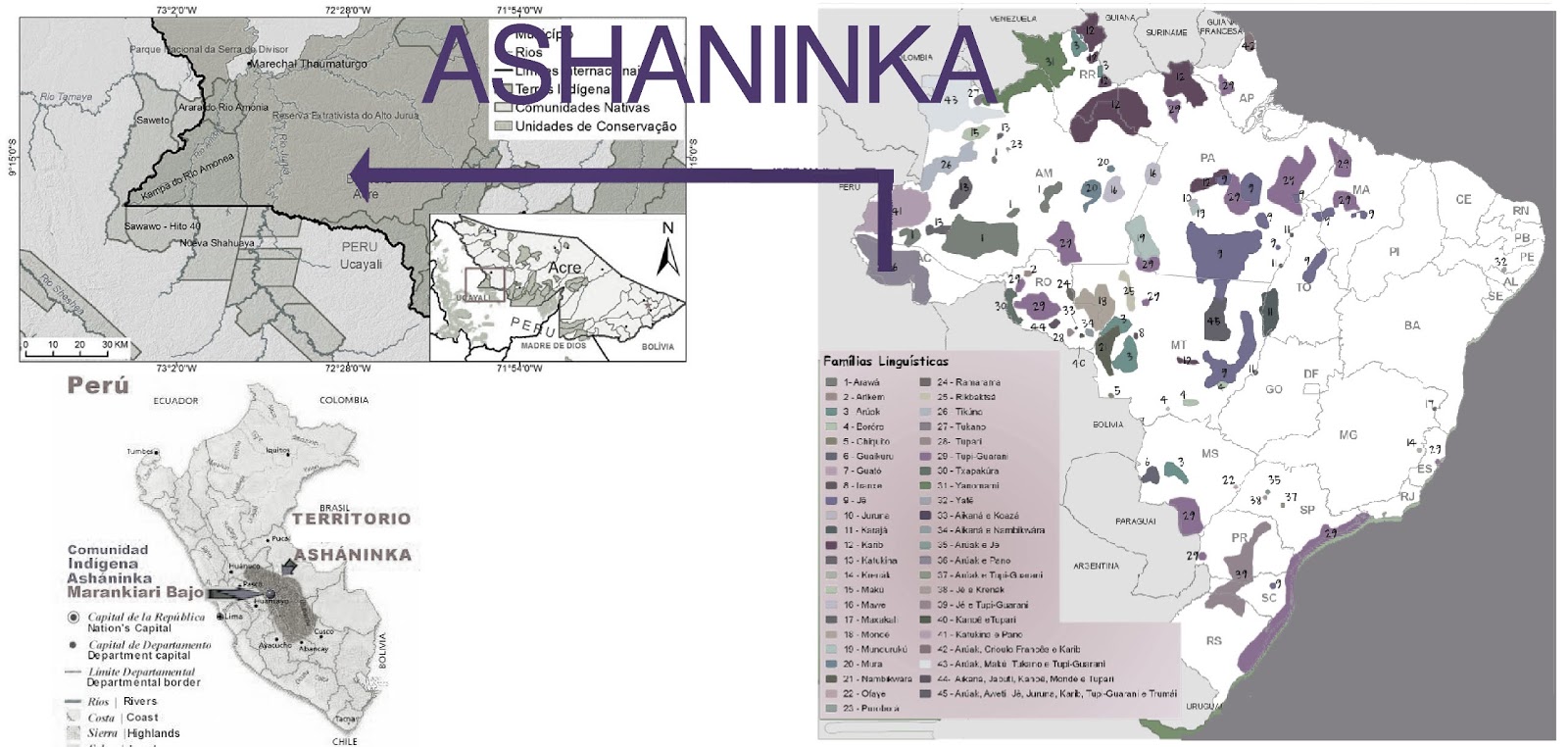 Povos Indígenas Brasileiros: Ashaninka