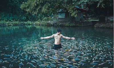 Wisata Mata Air Sendang Senjoyo Salatiga, Tempat Spot Foto Ikan ...