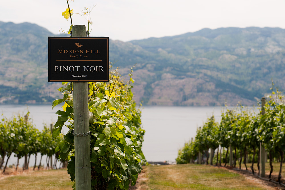 Mission Hill Winery ~ Enología