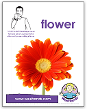 Learn to Sign "FLOWER"...the WeeHands Sign of the Week!