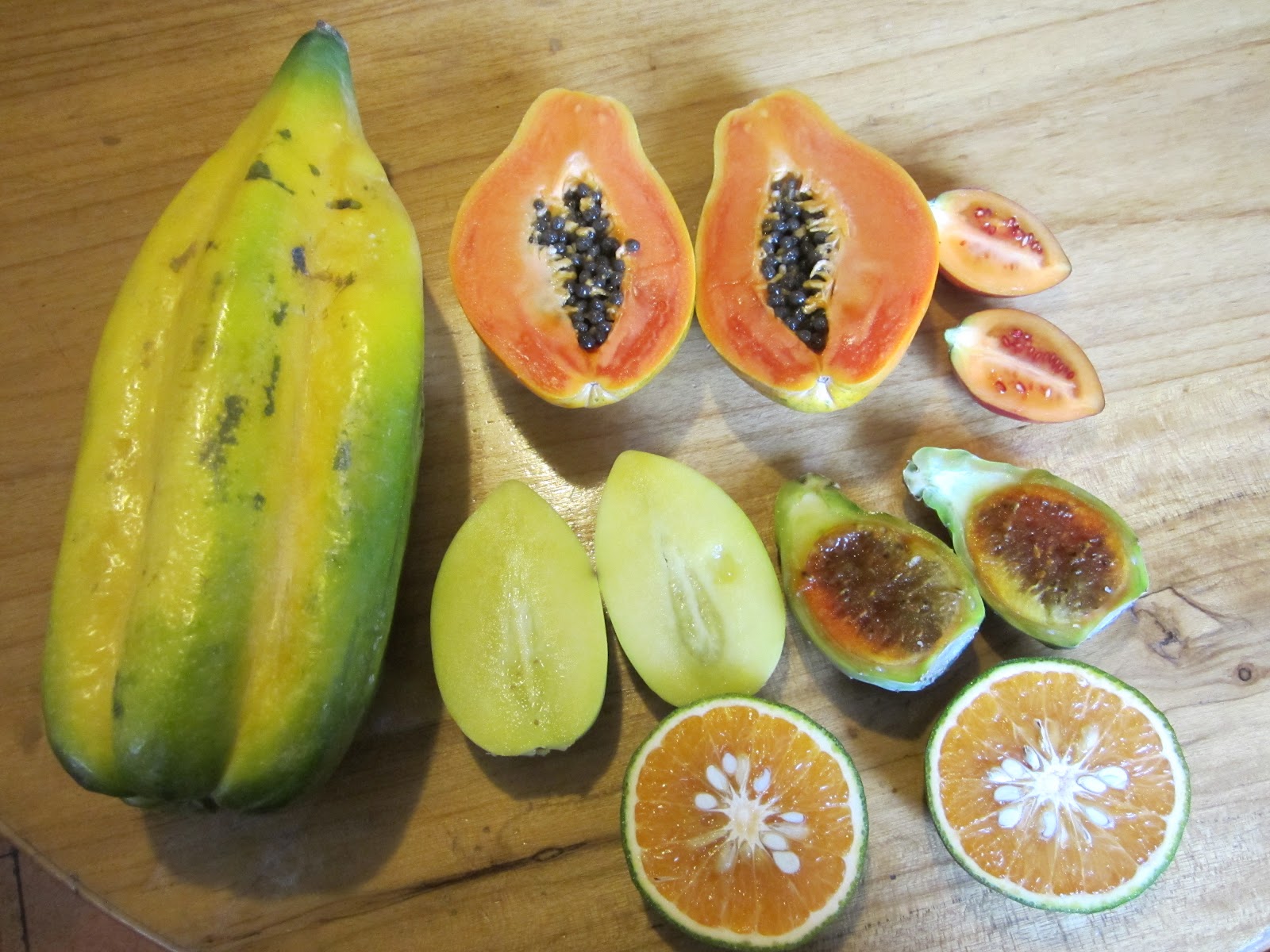Getting to Galapagos: Frutas!