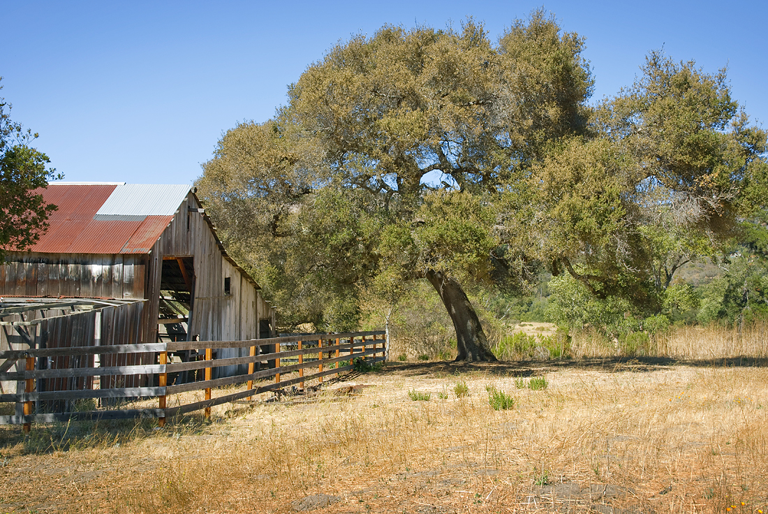 Kristel Balmet: Carmel Valley in August - Garland Ranch