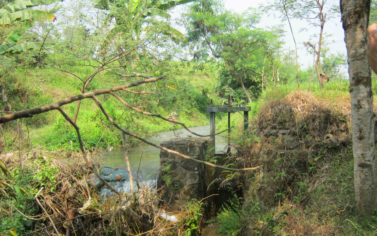 National Plus @ Mutiara Bunda School: Micro Hydro Fieldtrip – PPLH ...