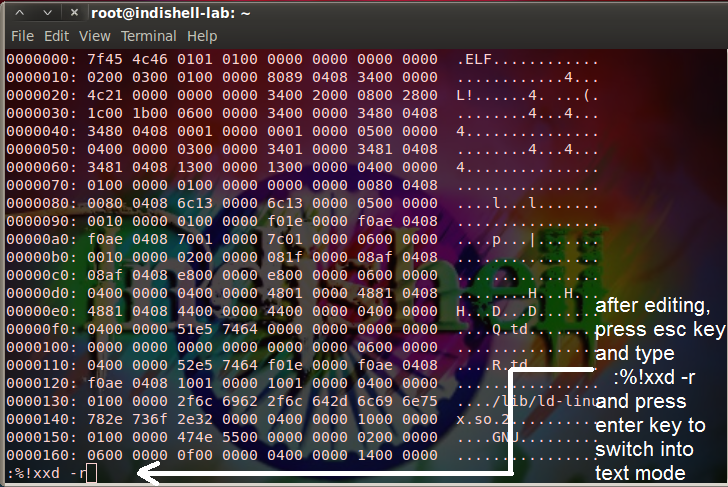 using 'vi text editor' as hex editor | Start With Linux | Mannu Linux
