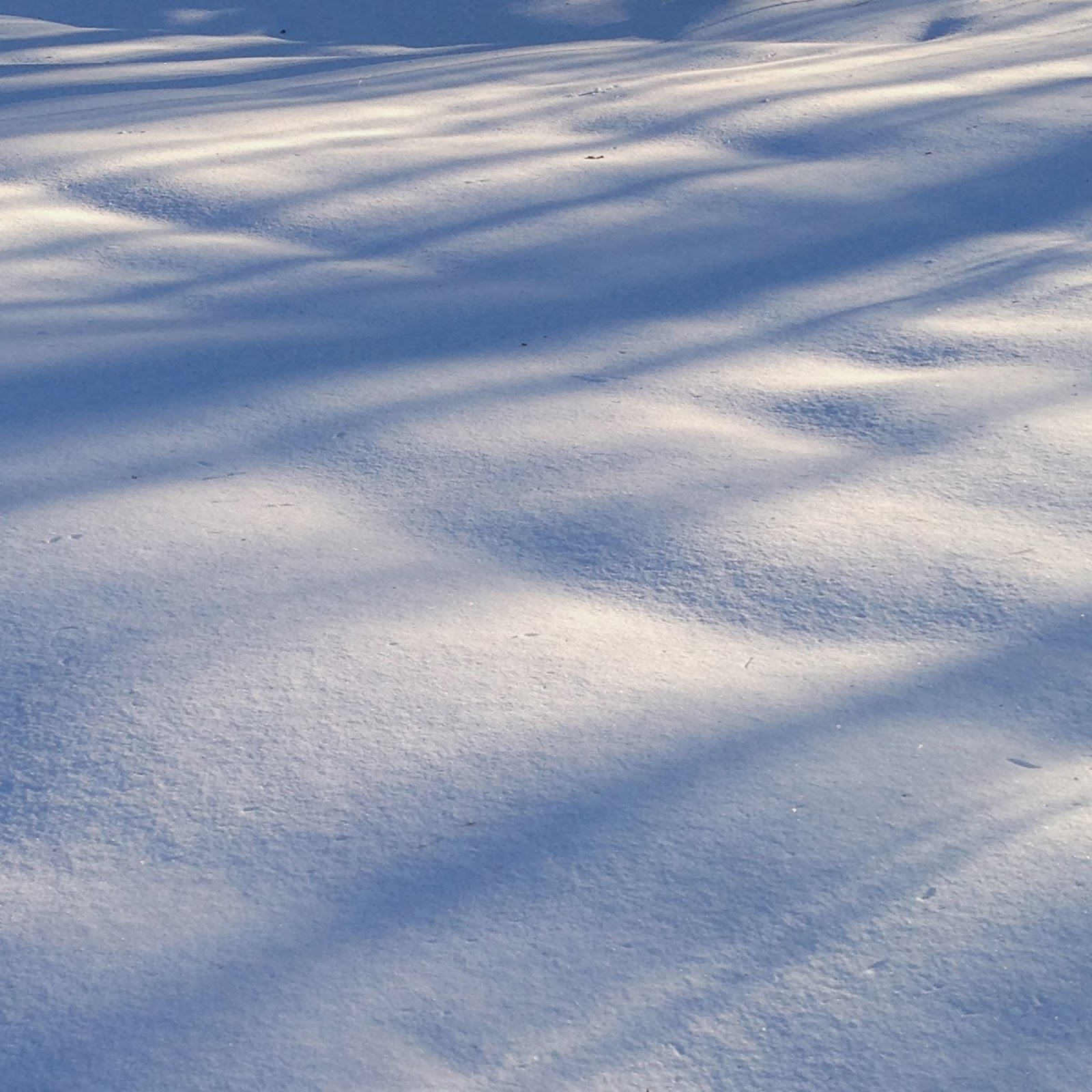 A Life Inspired by Nature: Abstract snow