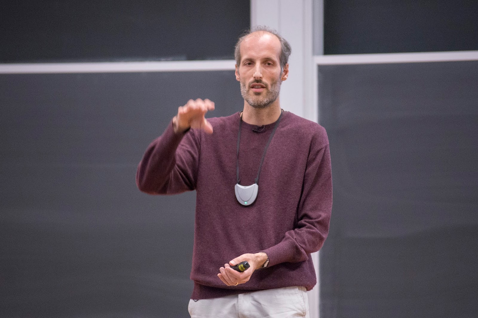 Elemental View: Sony Diaries #998: Martin Hairer, Mathematician