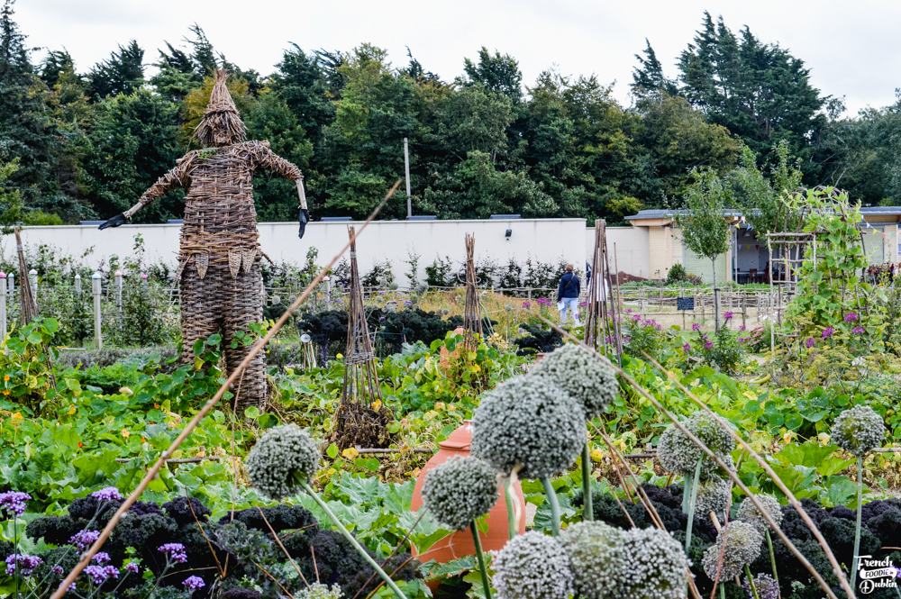 Things to do in Dublin: Airfield Estate | French Foodie in Dublin ...