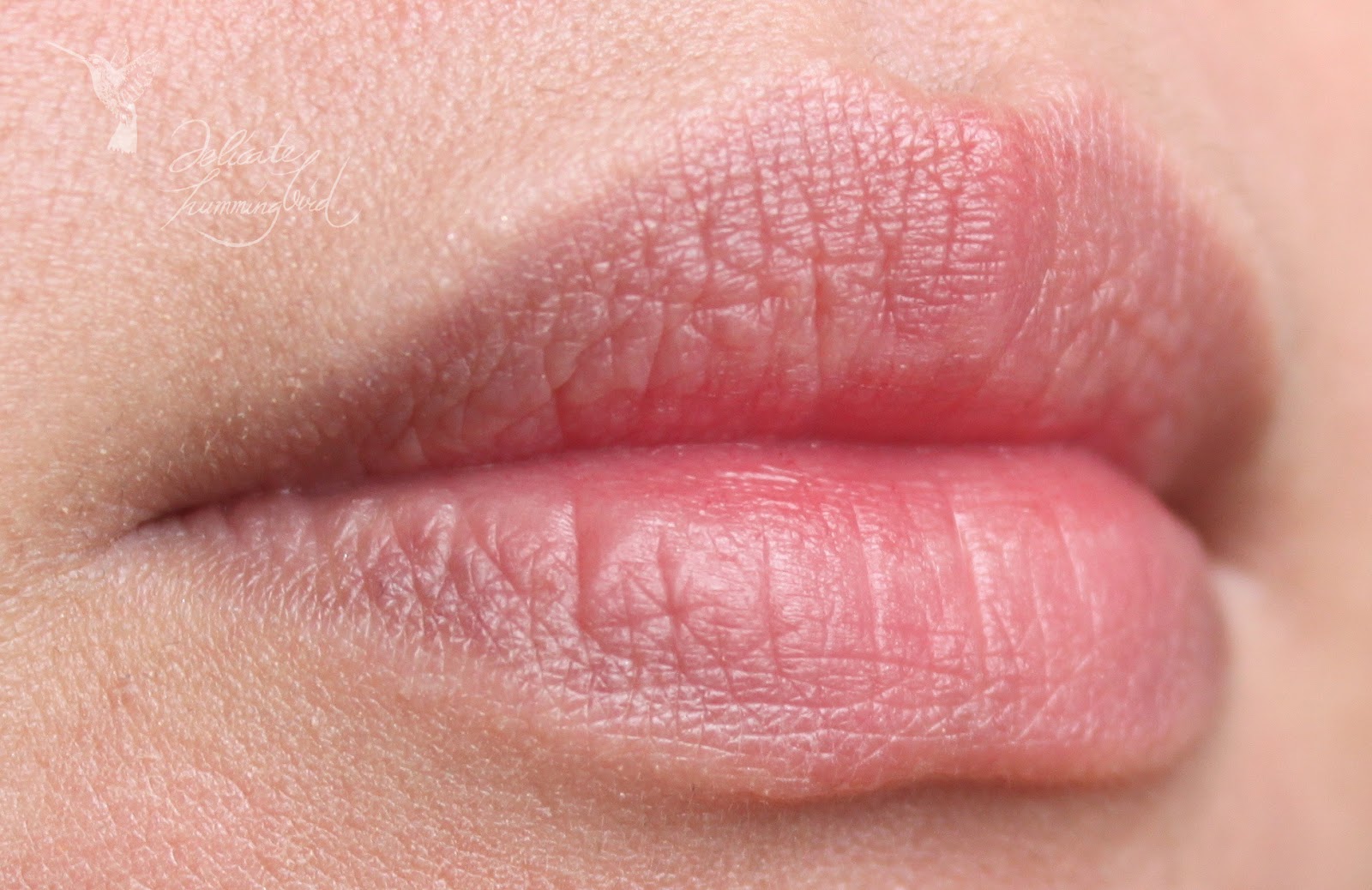 delicate hummingbird.