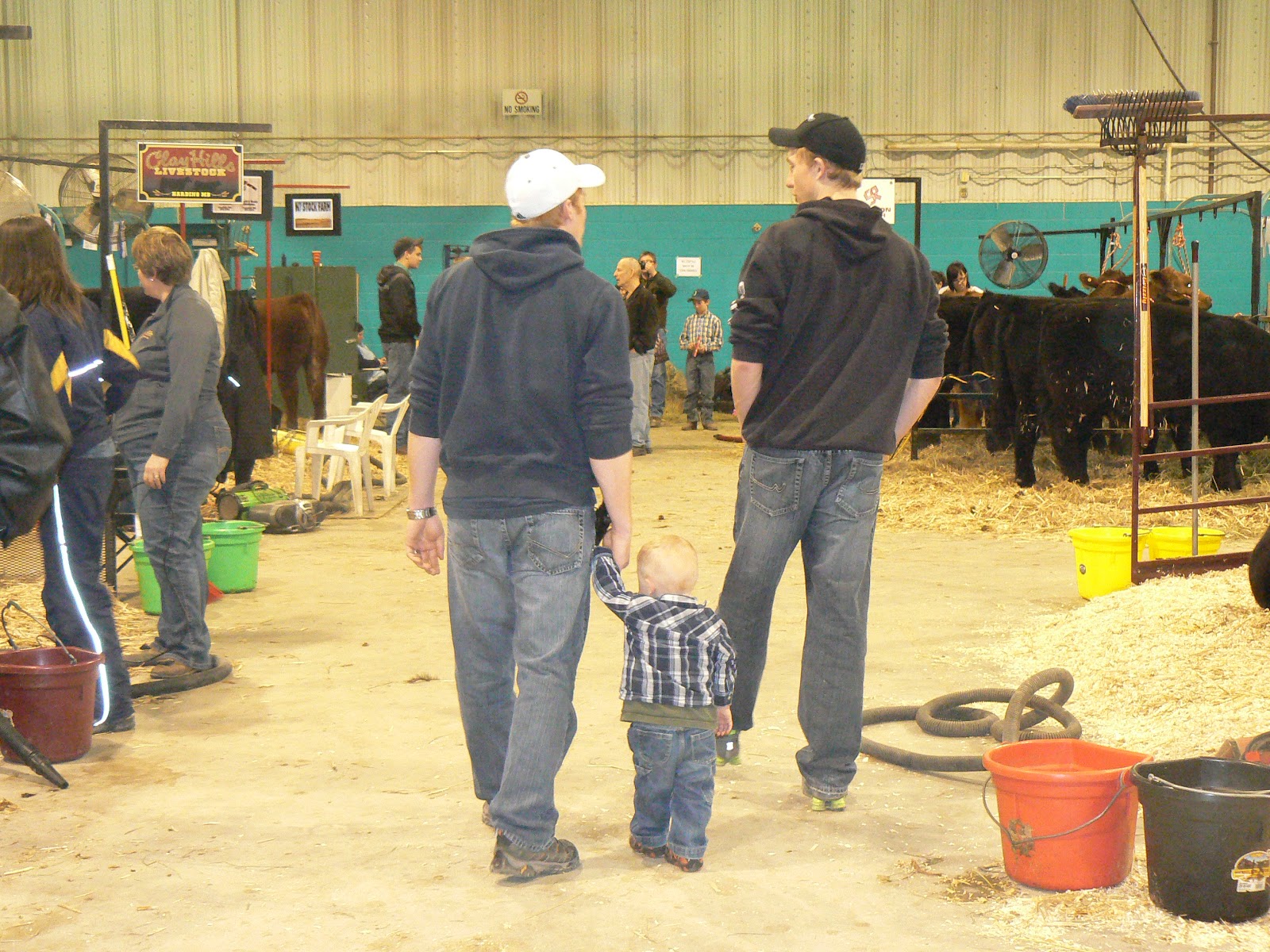 Life In The Country: Brandon Fair