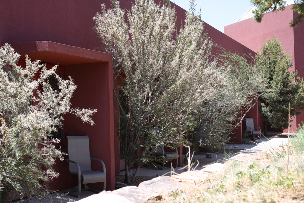 Ellen Mueller | Santa Fe Art Institute Residency