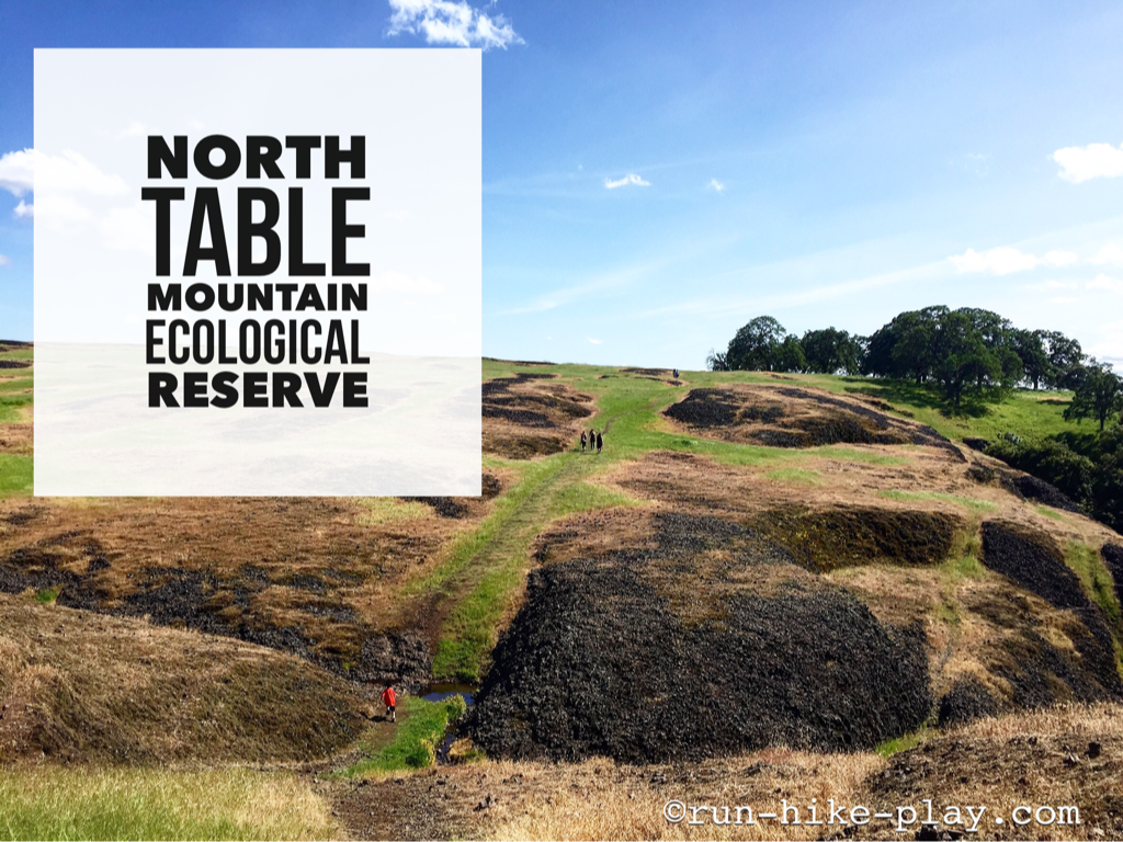 Run-Hike-Play: North Table Mountain Ecological Reserve Hike with the Fam