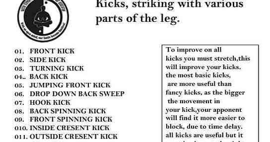 free" style martial art: Diffrent types of kicks
