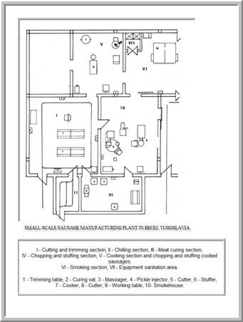 S T R A V A G A N Z A: ESTABLISHING A SMALL SAUSAGE PLANT