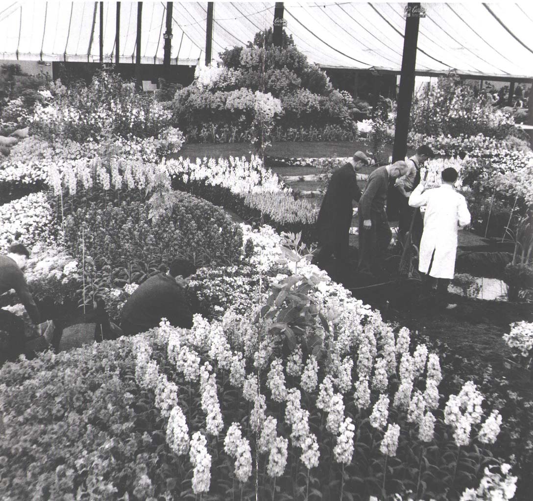 Garden Fancy: Book Review: "RHS Chelsea Flower Show: The First 100 ...