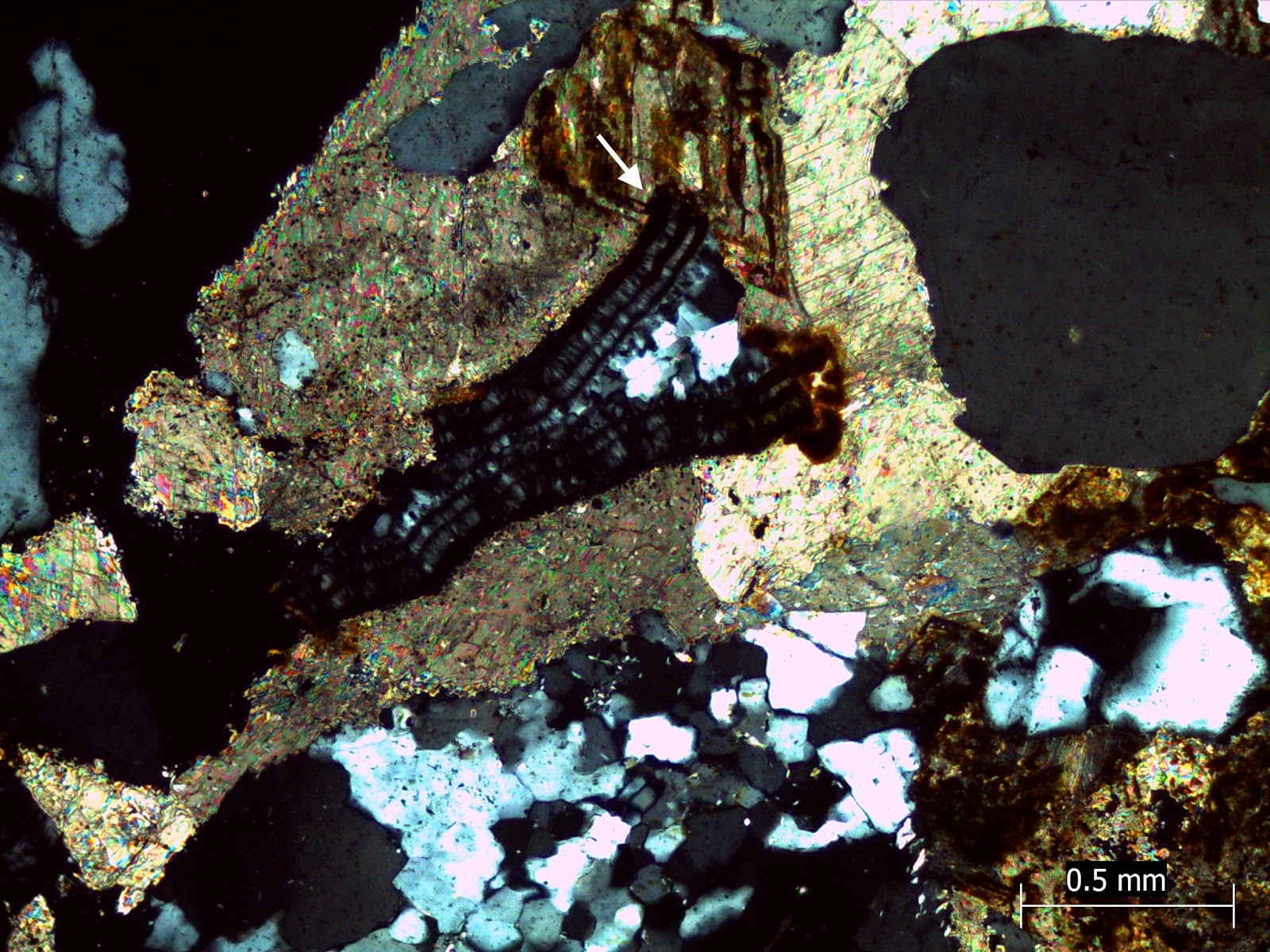 Rapid Uplift: Photomicrograph: Botryoidal Silica And Dolomite Cement In ...