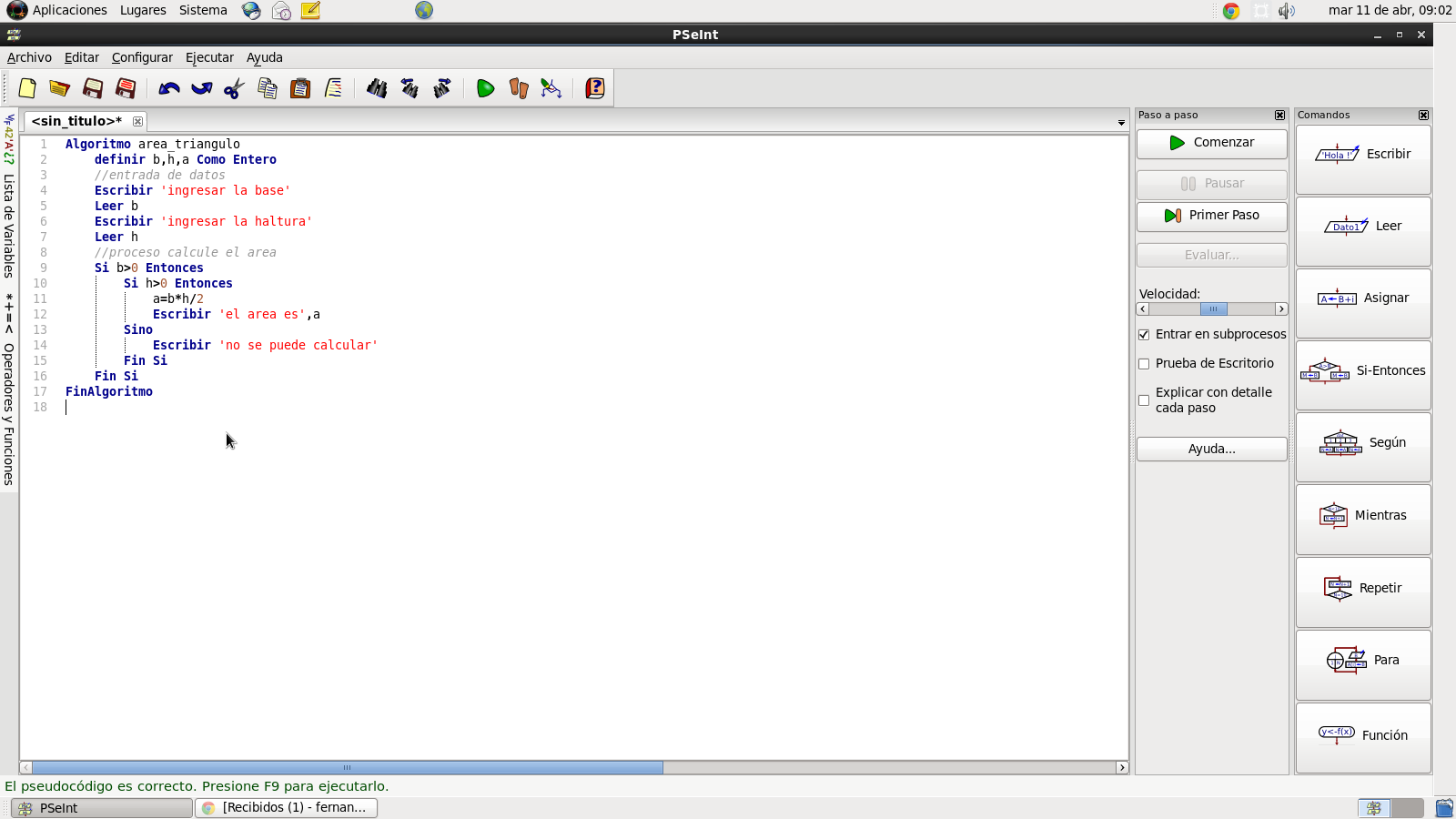 INSTRUCCIONES DE PSEINT