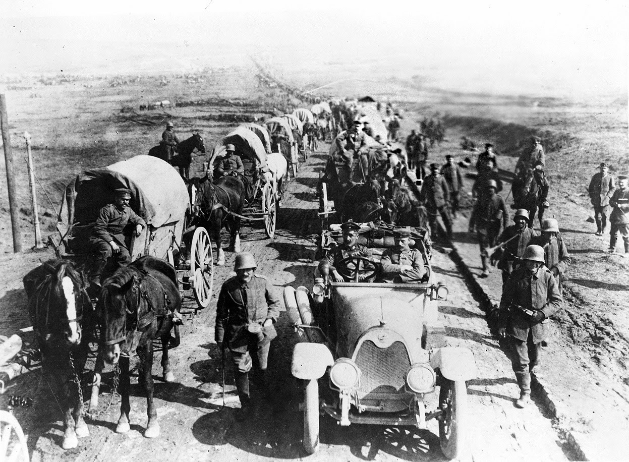 Black and White Pictures of Animals in World War I ~ Vintage Everyday