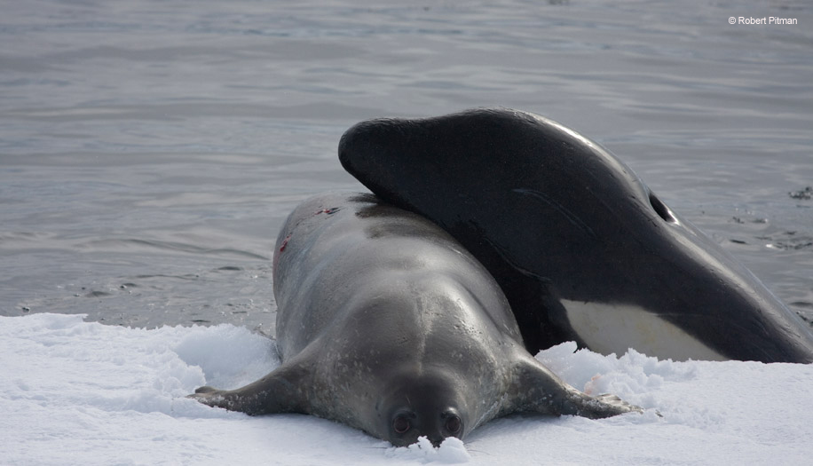 IMAGENES DEL MUNDO: 09/02/12