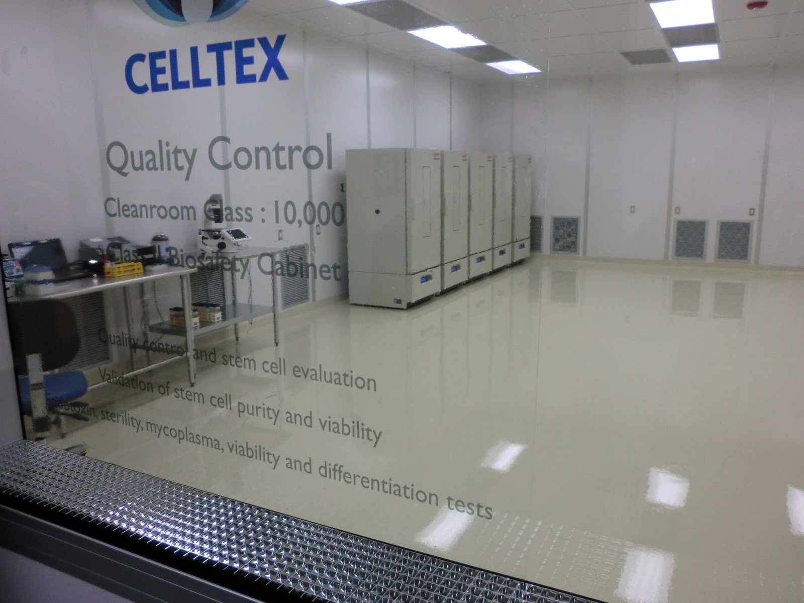 Debbie's Journey: Celltex Celebration