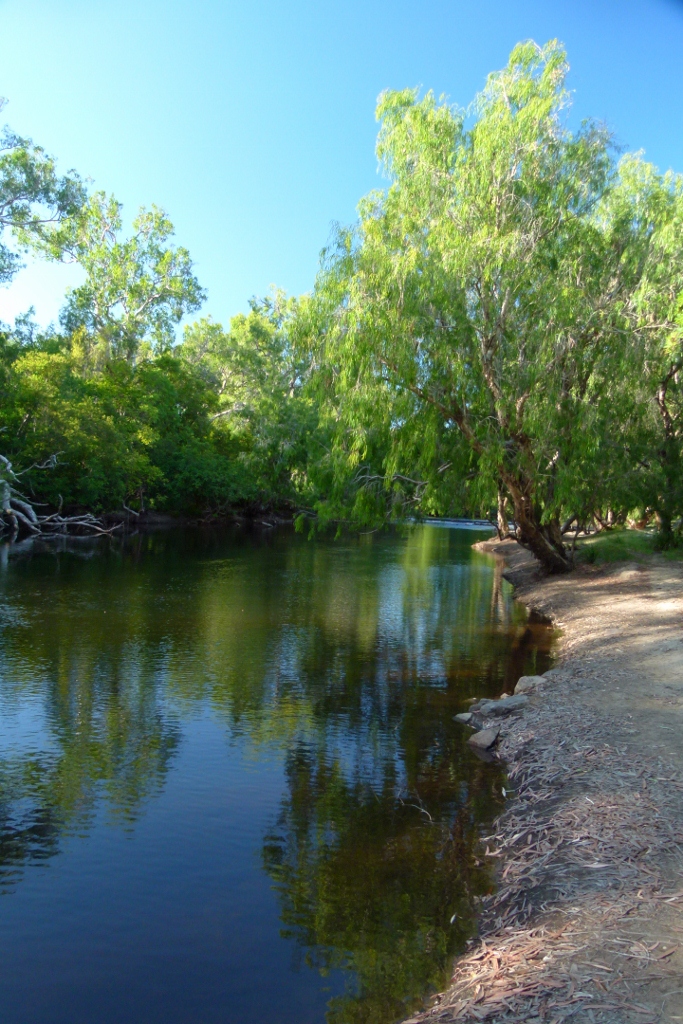 Where is Bear..Raz, Magi, Digs and Miranda?: Cooktown Crossing: "Mummy ...