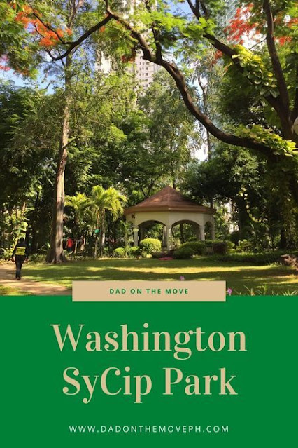 The 9 Top Things To Do In Washington SyCip Park with Kids + A Visit To ...