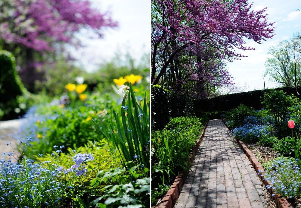 Little Red House: Mosaic Monday: Cross Gardens, Part II