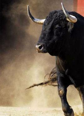 TOROS DEL CONDADO S.L: TORERISTA, TORISTA O TOROS.