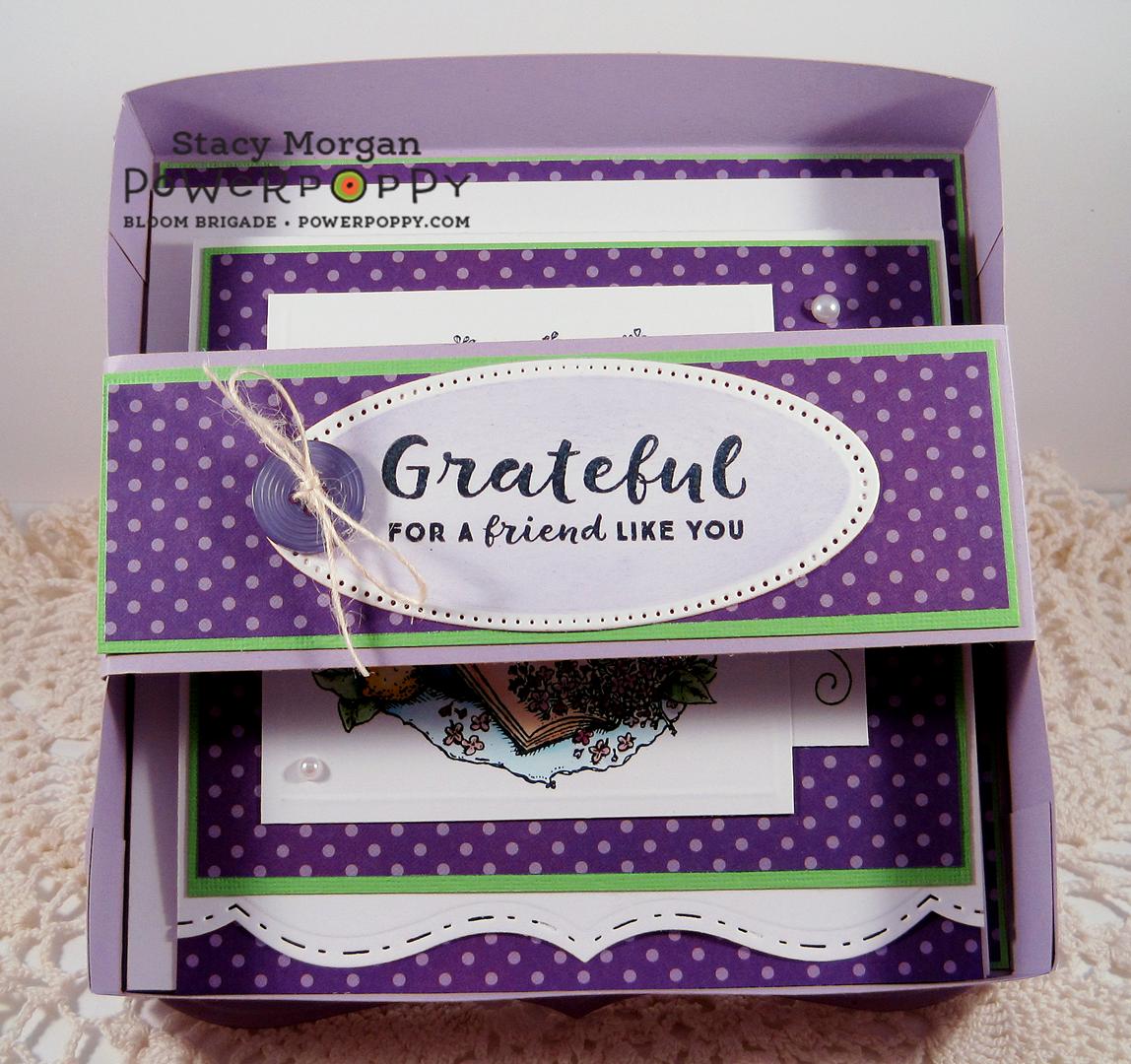 Twinshappy: Lilac Square Box Two