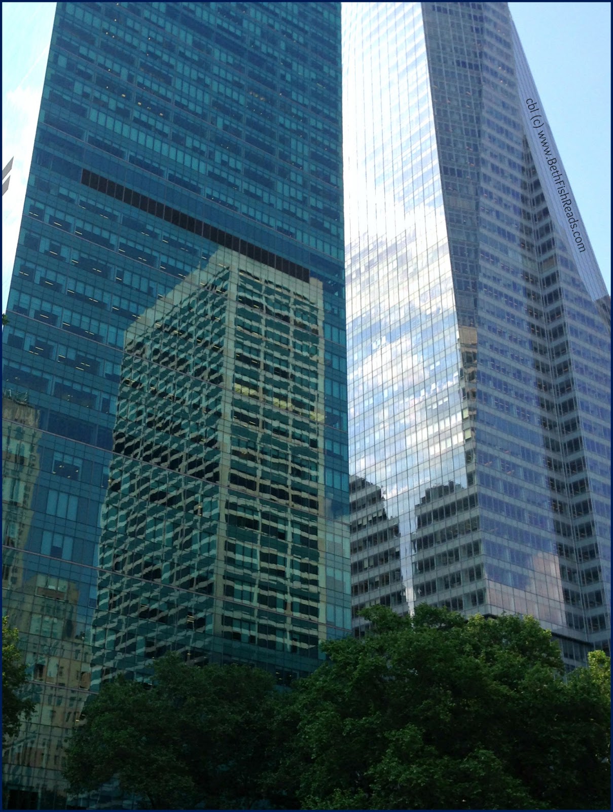 Beth Fish Reads: Wordless Wednesday 240