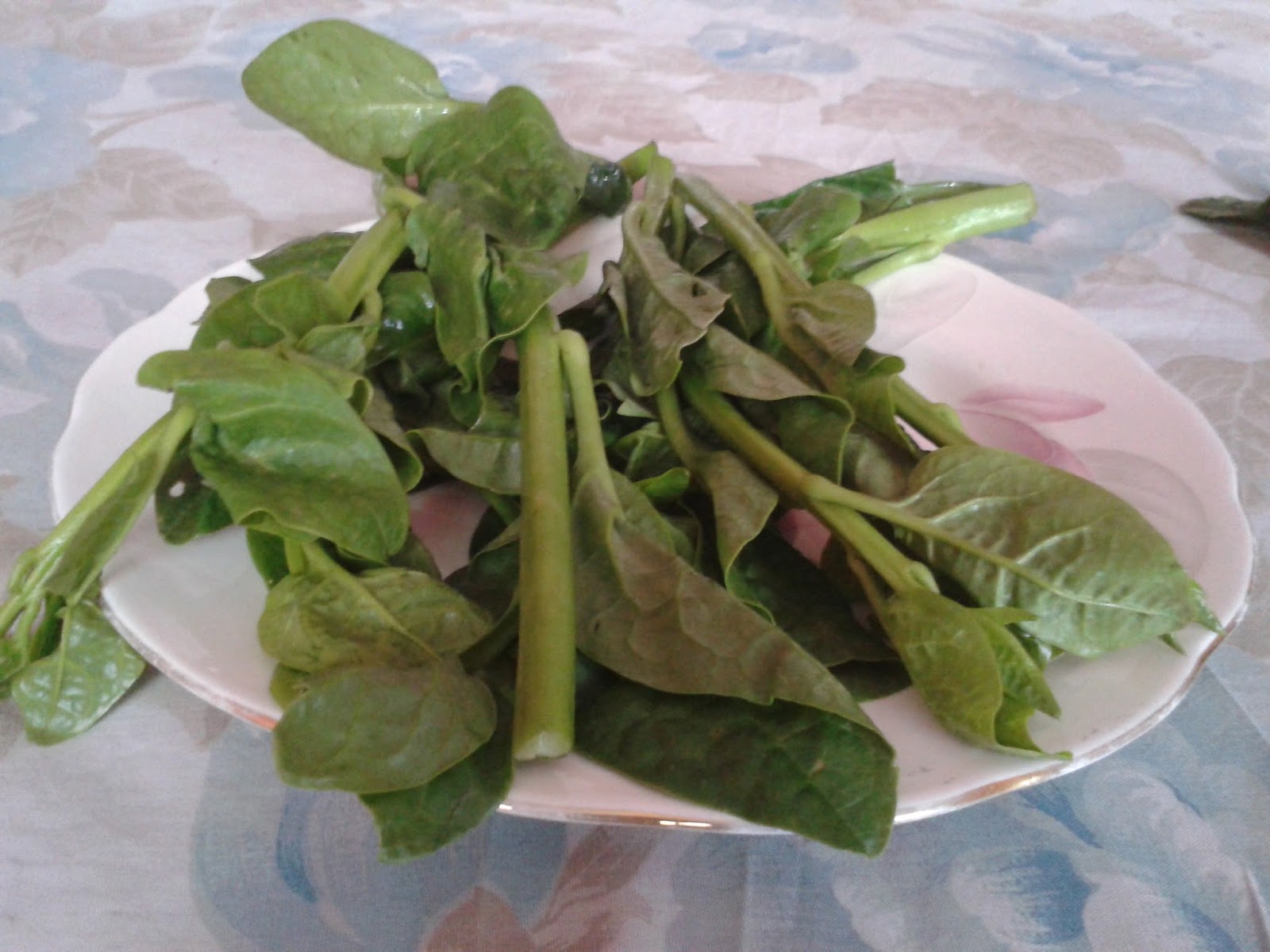 Mukti's Kitchen: POI LEAVES FRITTERS