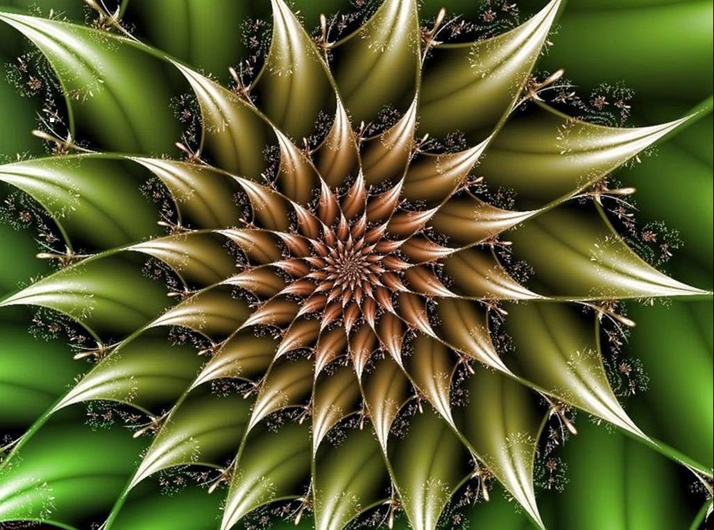 La física en mí.: ¿Qué es un fractal?.