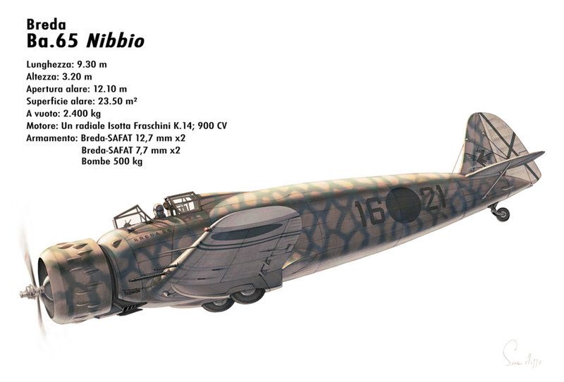 Blog de las Fuerzas de Defensa de la República Argentina: Avión de ...