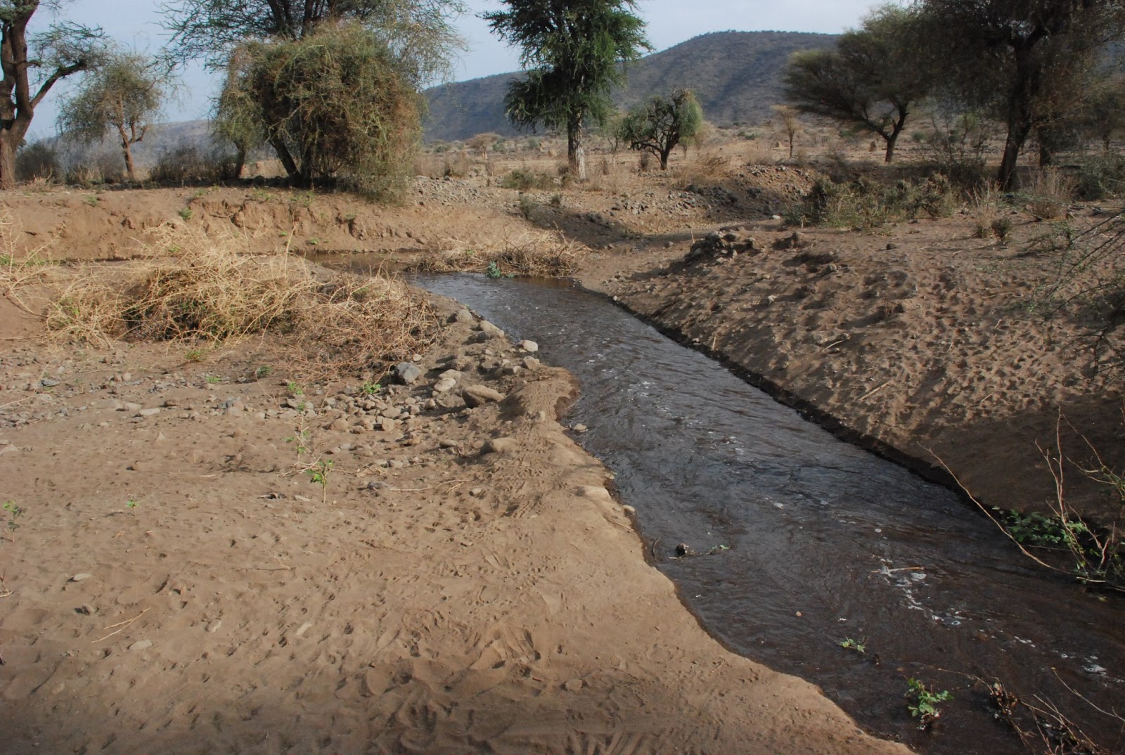 FarmLandS: Furrows in Africa -- canals in the Americas