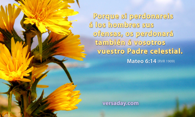 Aprendiendo la Sana Doctrina: DEBEMOS PERDONAR A LOS QUE NOS OFENDEN